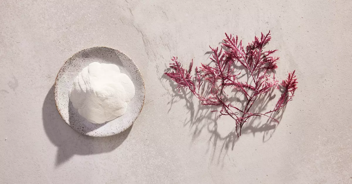 Agar Agar Rotalge Geliermittel Norevo